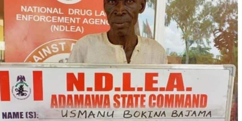 National Drug Law Enforcement Agency Ndlea Arrested Usman Bokina